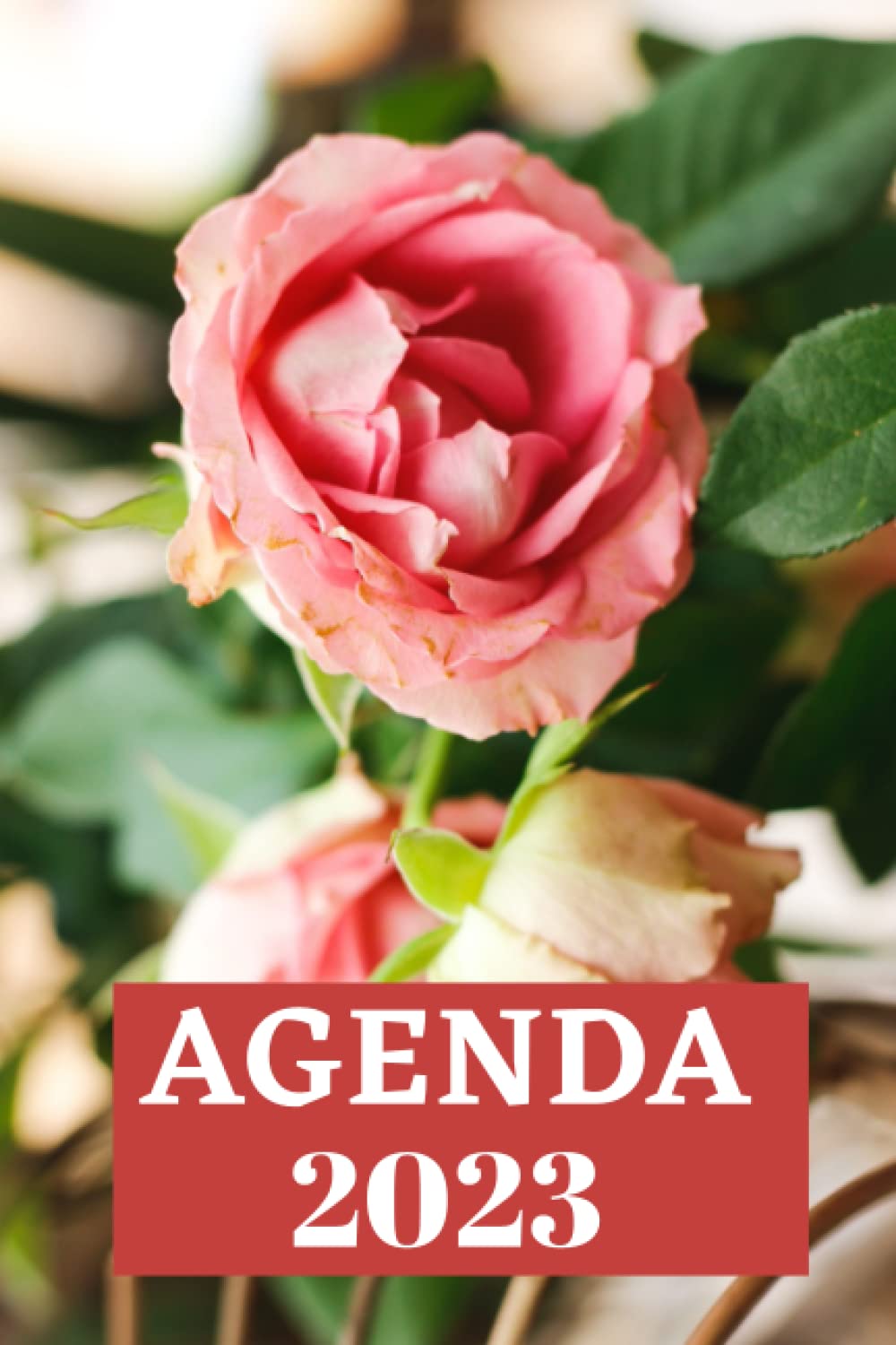 buy-agenda-2023-agenda-semainier-d-un-an-de-janvier-2023-d-cembre