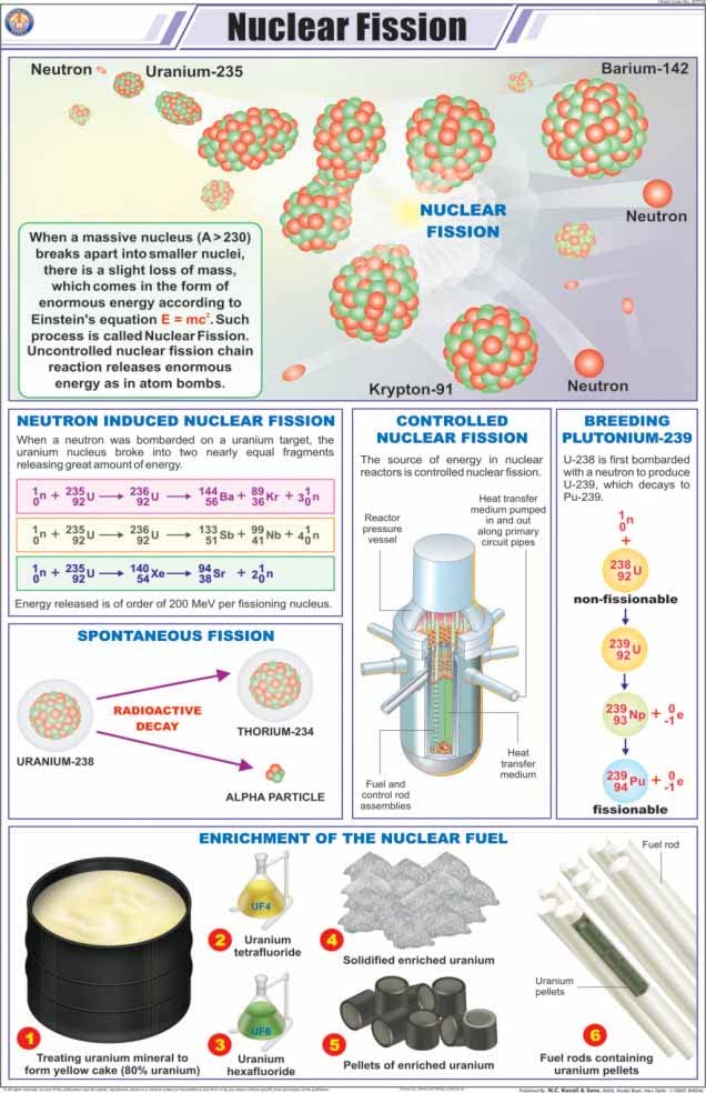 Buy STP38 | TeachingNest | Nuclear Fission Chart (58x90 cm) | English ...