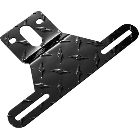 Amazon.com: CZC AUTO Aluminum Trailer License Plate Light Bracket with ...