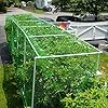 Amazon.com : Garden Netting Anti Bird Protection Net 4M x 10M / 13Ft x ...