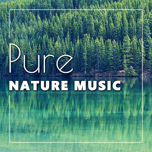 Pure Nature Music – Background Music for Wellness, Sounds of Nature for ...