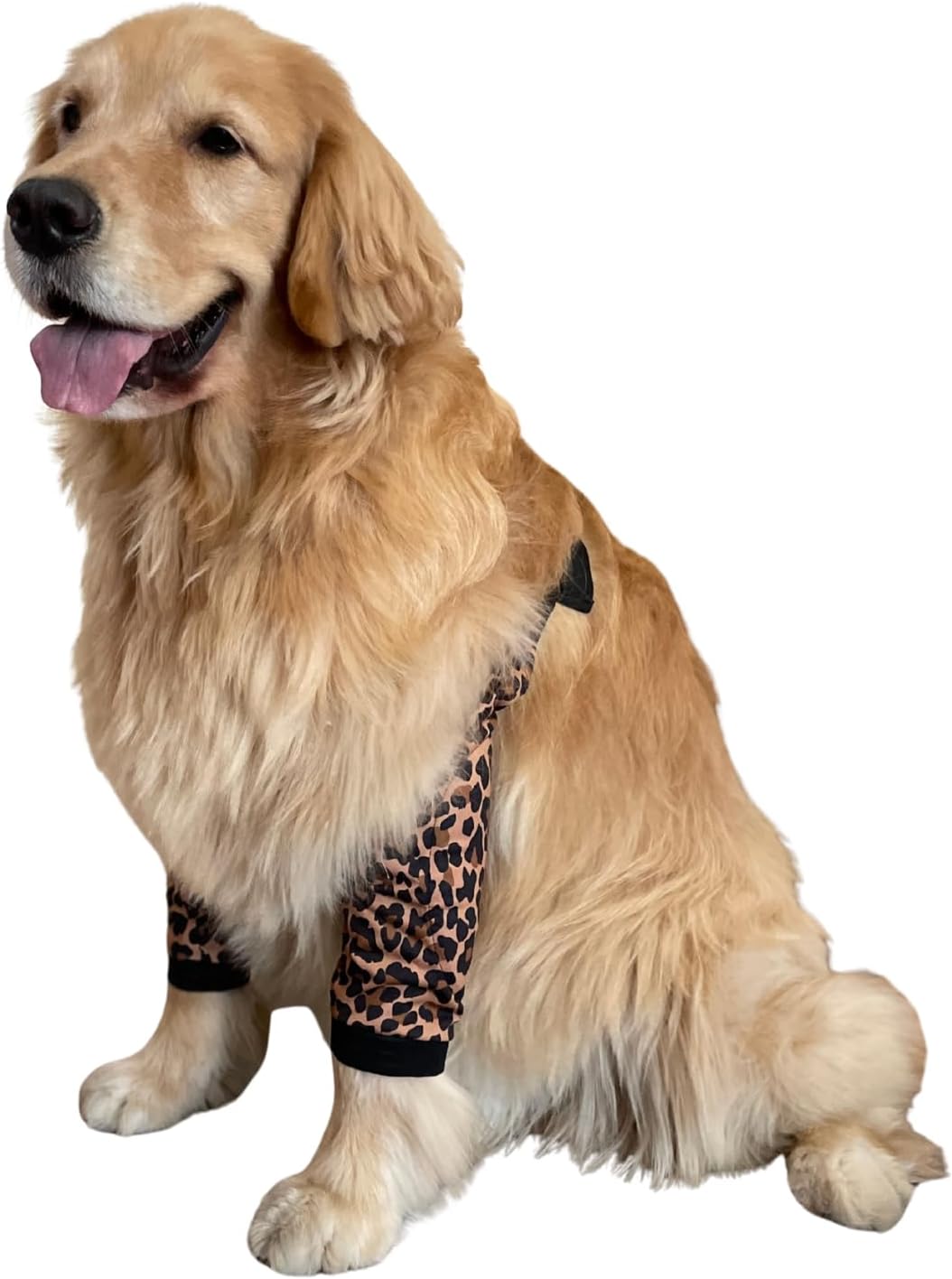 Amazon.com : Harikaji Dog Elbow Protector, Elbow Sleeves with Mesh Pad ...