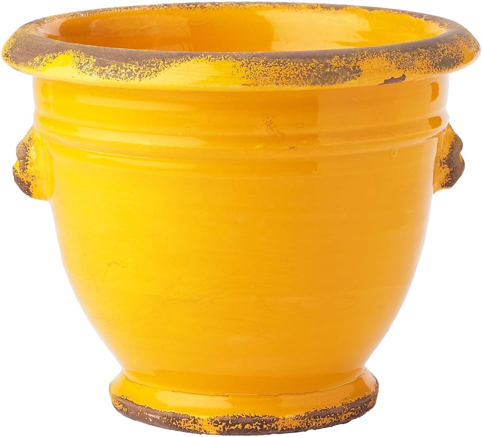 Amazon.com : French Trocadero Collection Marigold Yellow Lion Head ...