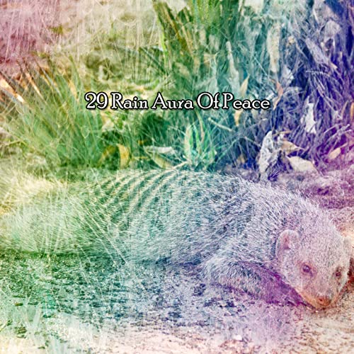 Amazon.co.jp: 29 Rain Aura Of Peace : 雷雨: デジタルミュージック