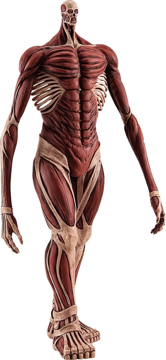 Amazon.com: Attack on Titan: Amin Arlert (Colossus Titan Ver.) L Size ...