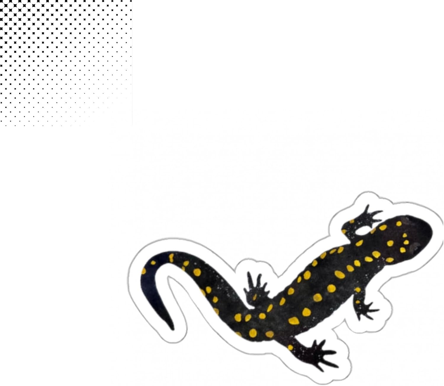 Amazon.com: Tgiakisz Yellow Spotted Salamander Sticker, Salamander ...