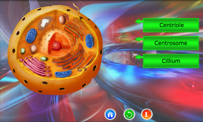 BioIQ: Biology Picture Game - App on Amazon Appstore