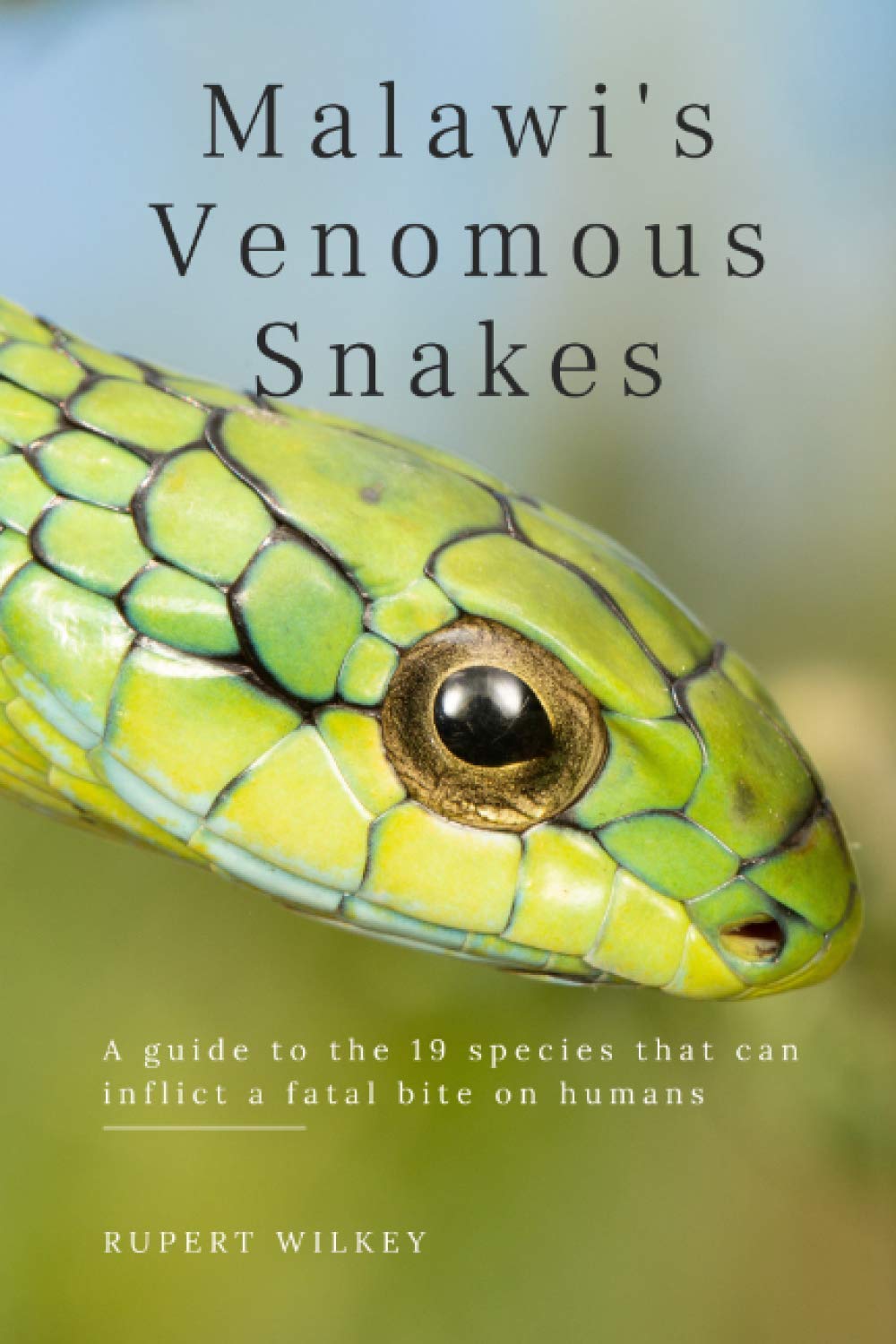 Malawi's Venomous Snakes: A guide to the 19 species that can inflict a ...