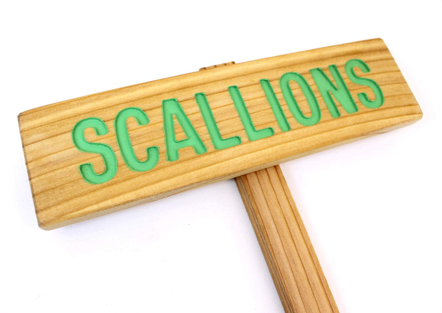 Amazon.com: Scallions Garden Sign, Vegetable Plant Marker, Cedar Wood ...