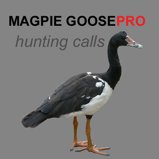 REAL Magpie Goose Calls - Hunting Calls for Magpie Geese - BLUETOOTH ...
