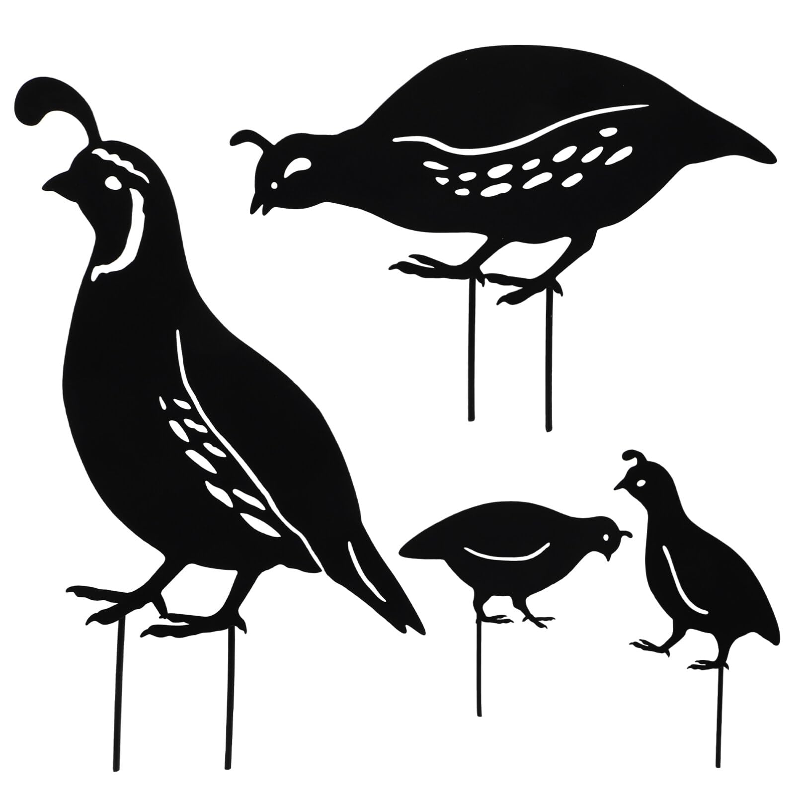 Quail Family Silhouette