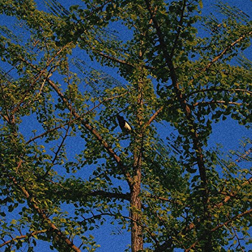 Play NEW (Digital Single) by HeeYa 히야 on Amazon Music