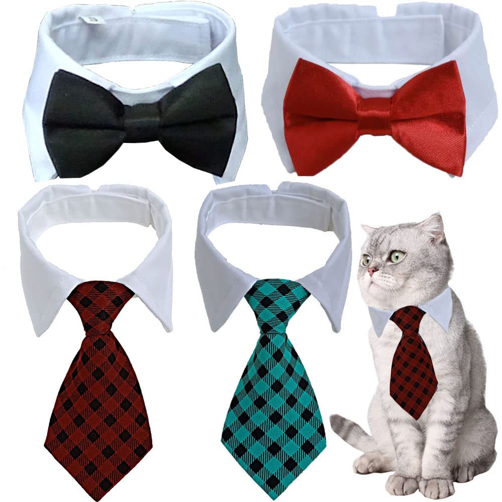 Gato Con Corbata Gatos Haciendo Cosas Added A New Photo. Gatos