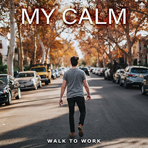 Amazon.com: My Calm Walk To Work : VARIOUS ARTISTS: Digital Music