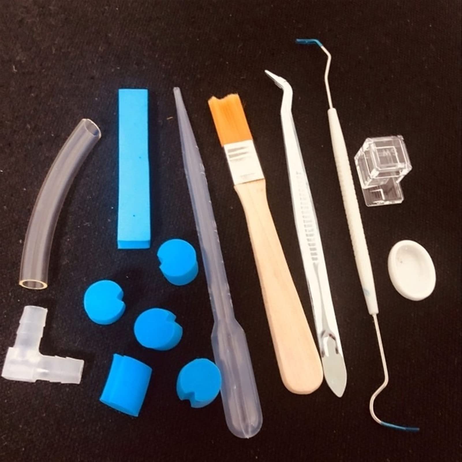 Ant Kit 10 In 1 Set Acrylic Ant Farm Tools | Desertcart INDIA