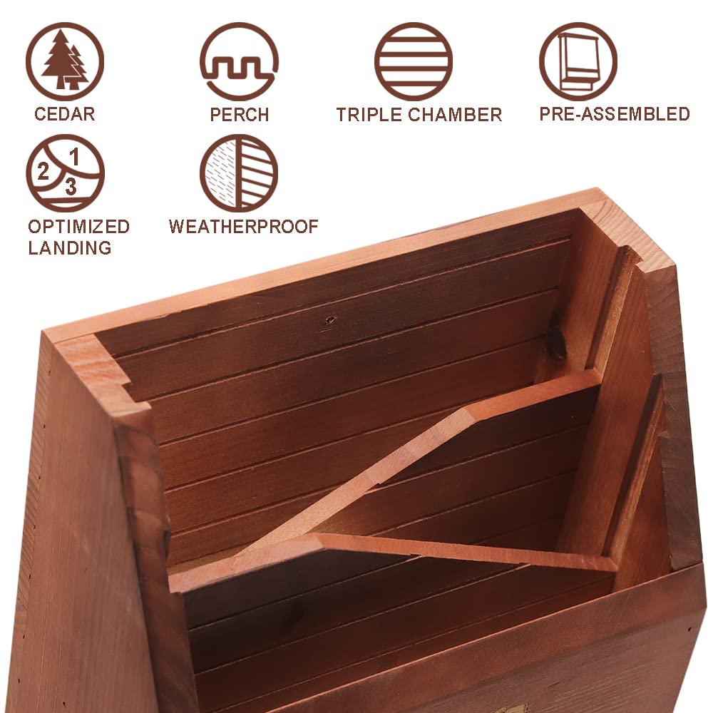 Snapklik.com : Bat Houses For Outdoors, Triple Chamber Large Bat Box ...