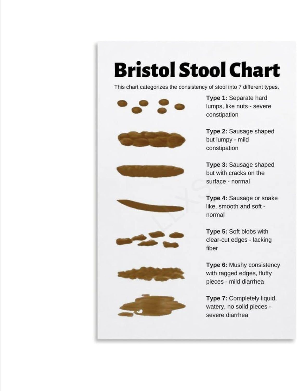 Amazon.com: EDUKAT Bristol Stool Chart Diagnosis Constipation Diarrhea ...