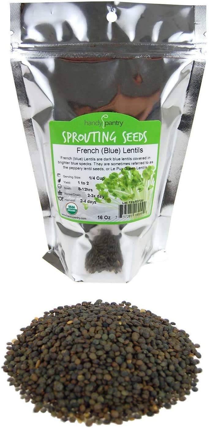 Amazon.com : Organic French Lentil Sprouting Seeds - 1 Lb - French ...