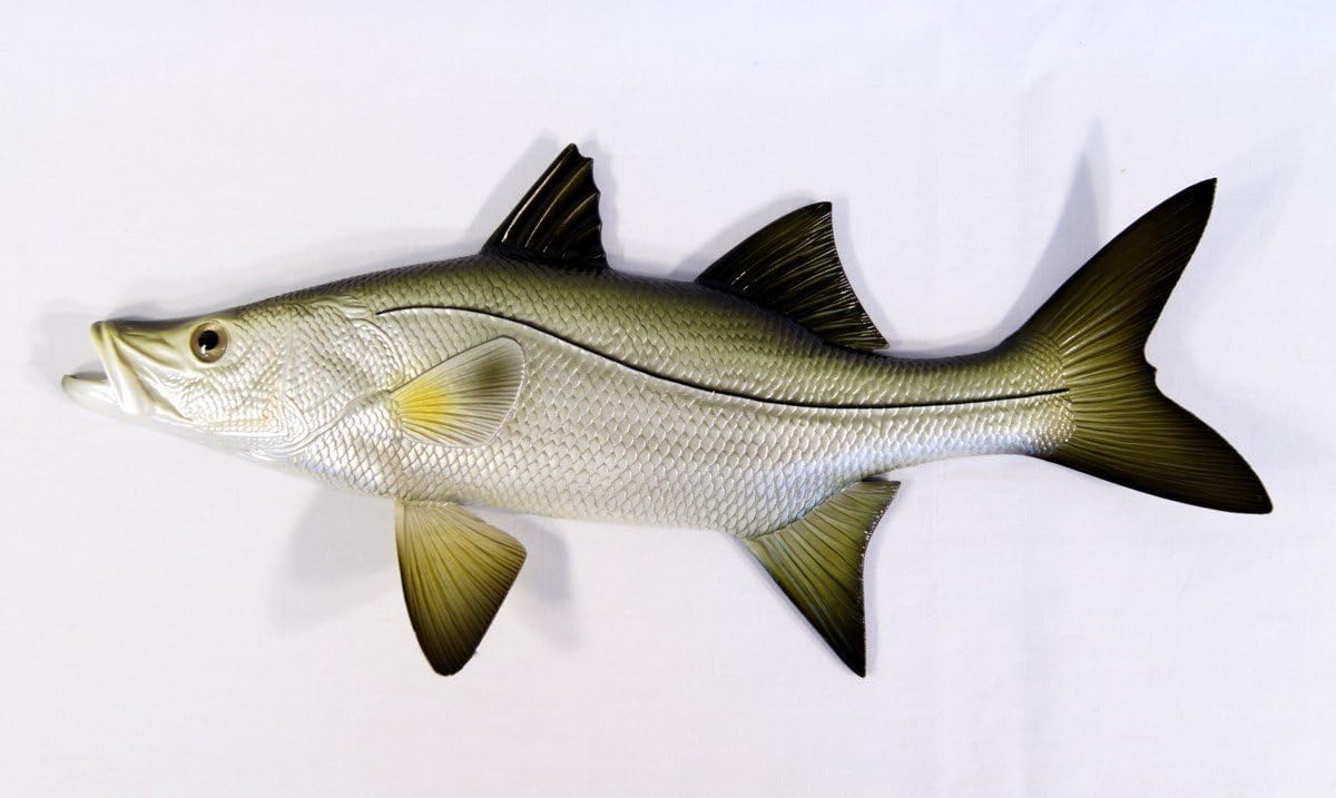 Amazon.com: LX Hand Painted Replica Snook Fish Ocean Coastal Fly Game ...