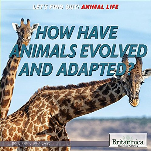 How Have Animals Evolved and Adapted? (Let's Find Out! Animal Life ...