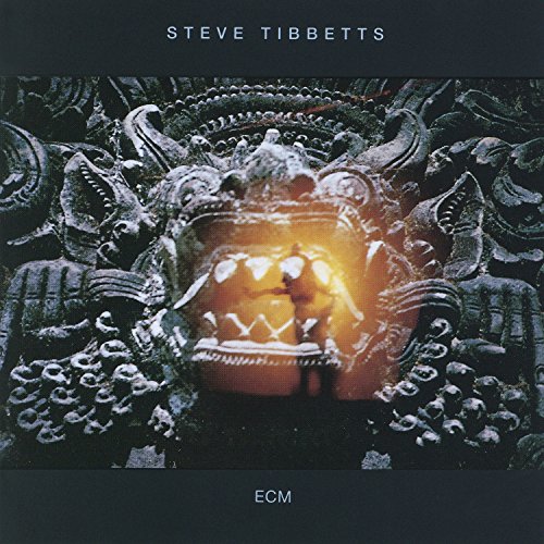 Amazon.com: The Fall Of Us All : Steve Tibbetts: Digital Music