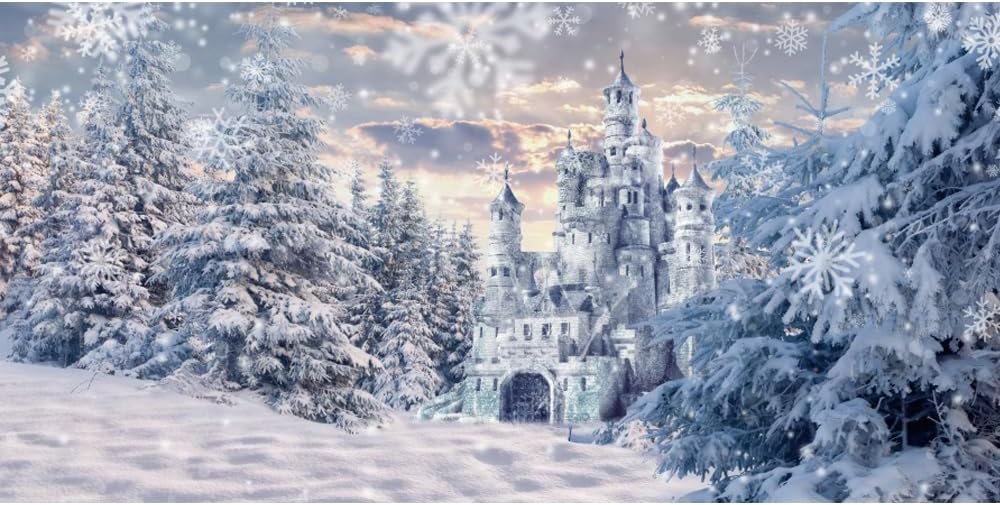 Amazon.com : Laeacco 20x10ft Winter Castle Backdrop Snow Forest ...