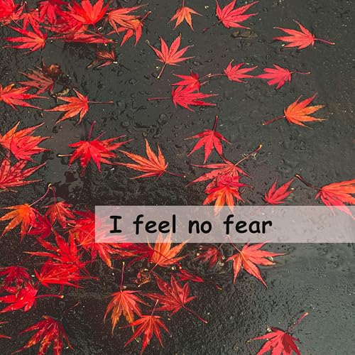 Amazon.co.jp: I feel no fear : Katie Amber: Digital Music