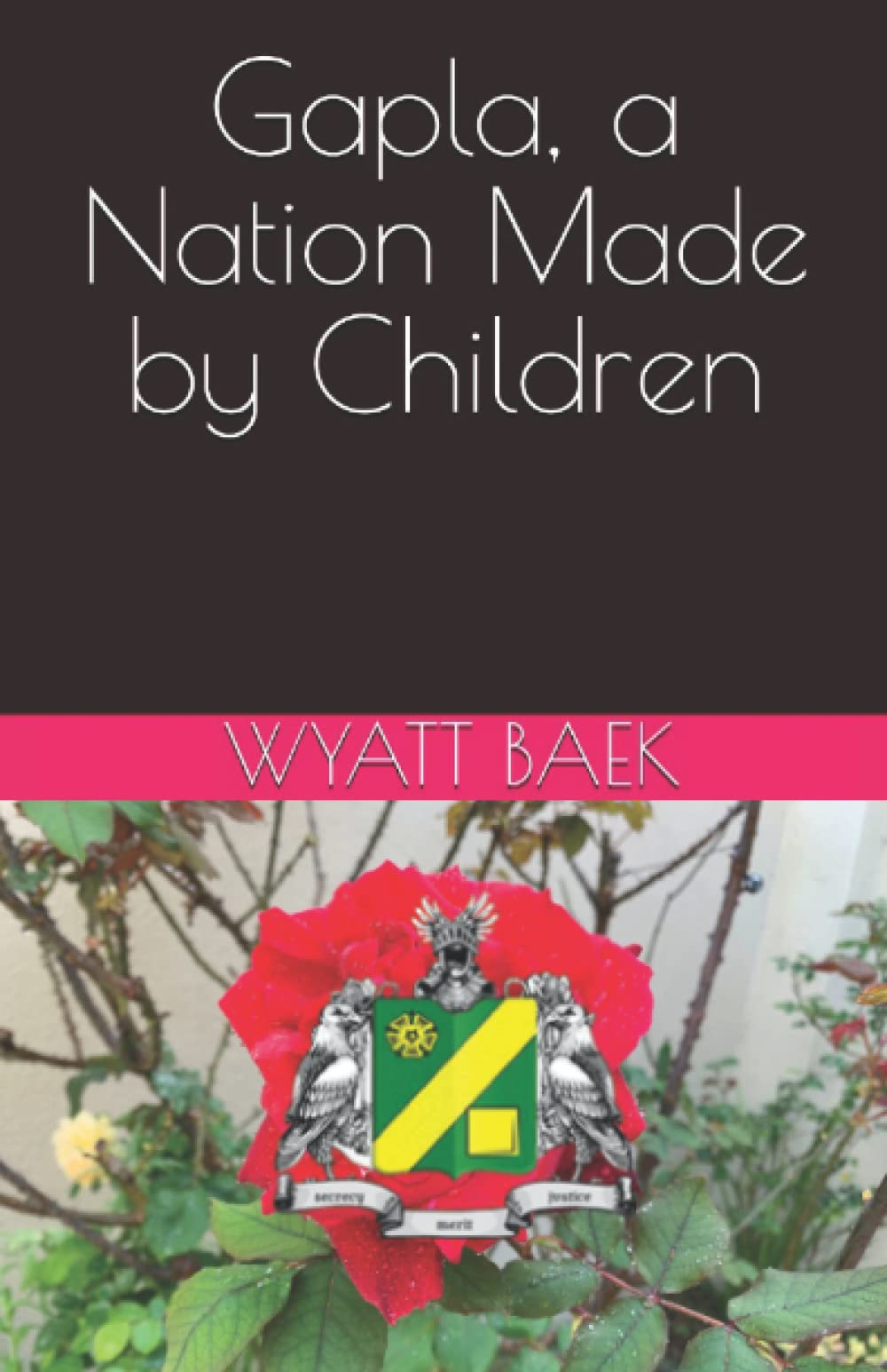 Gapla, a Nation Made by Children (Adventures of Gapla): Baek, Wyatt ...