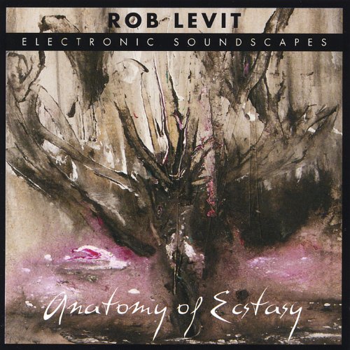 Amazon.com: Anatomy Of Ecstasy : Rob Levit: Digital Music