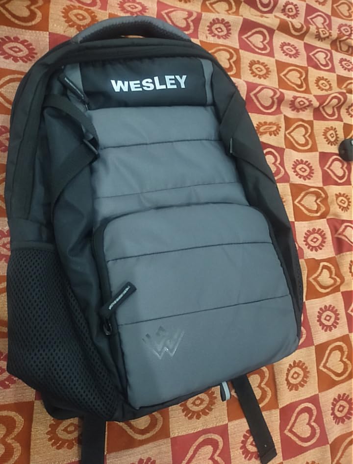 Wesley Ignite Unisex Waterproof Laptop Backpack for Office, School ...