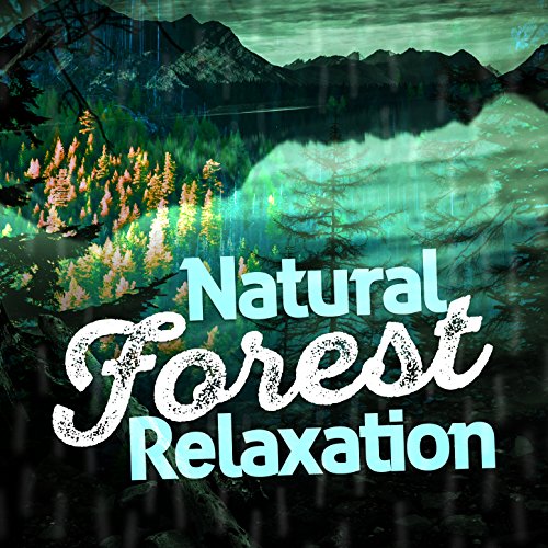 Natural Forest Relaxation by Natural Forest Sounds on Amazon Music ...
