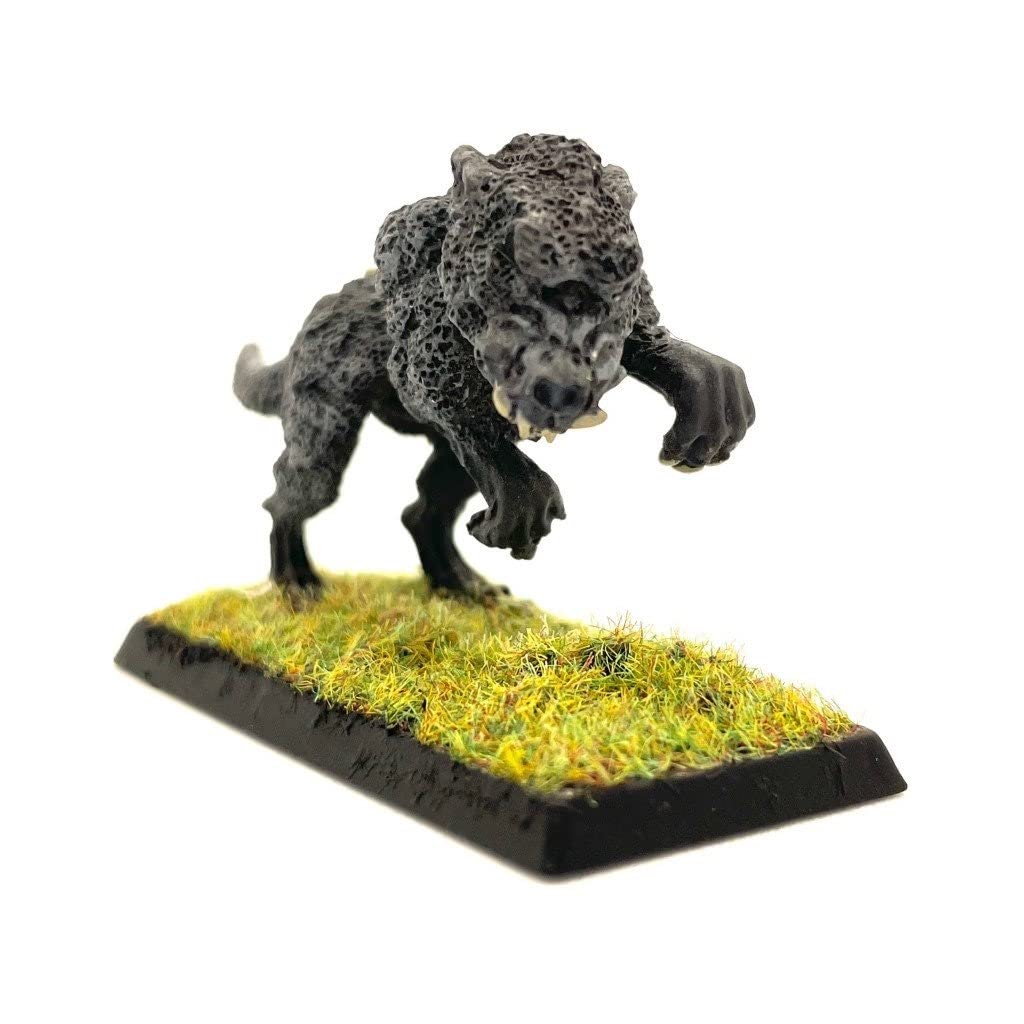 Amazon.com: Dire Wolves Pack Leader 1 Painted Miniature Vampire Counts ...
