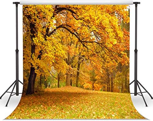 Amazon.com : LYWYGG 10x10ft Fall Picture Backdrop Yellow Leaves Filled ...
