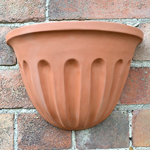 Weston Mill Pottery Terracotta fluted wall pot : Amazon.co.uk: Garden