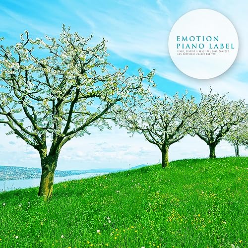 Play Sunny Piano Melody Today by VARIOUS ARTISTS on Amazon Music
