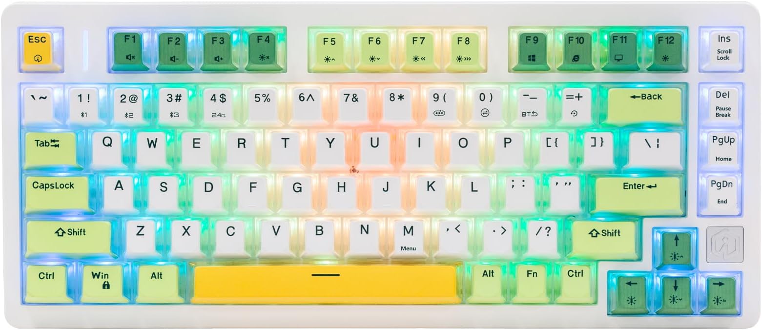 Amazon.com: RK ROYAL KLUDGE RKS70 Split Mechanical Keyboard, Wireless ...