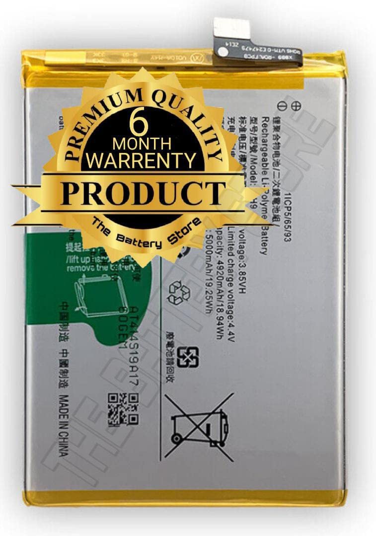 THE BATTERY STORE™ Original Battery (B-H9) for Vivo Y19 1915 with 6 ...