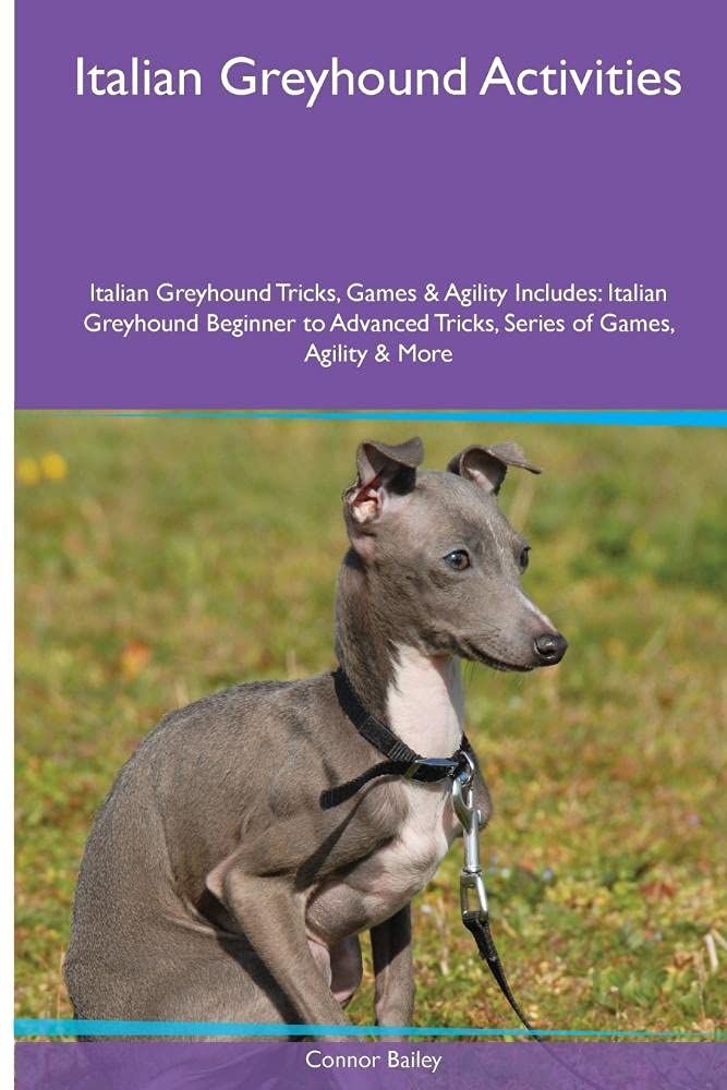 Italian Greyhound Activities Italian Greyhound Tricks, Games & Agility ...