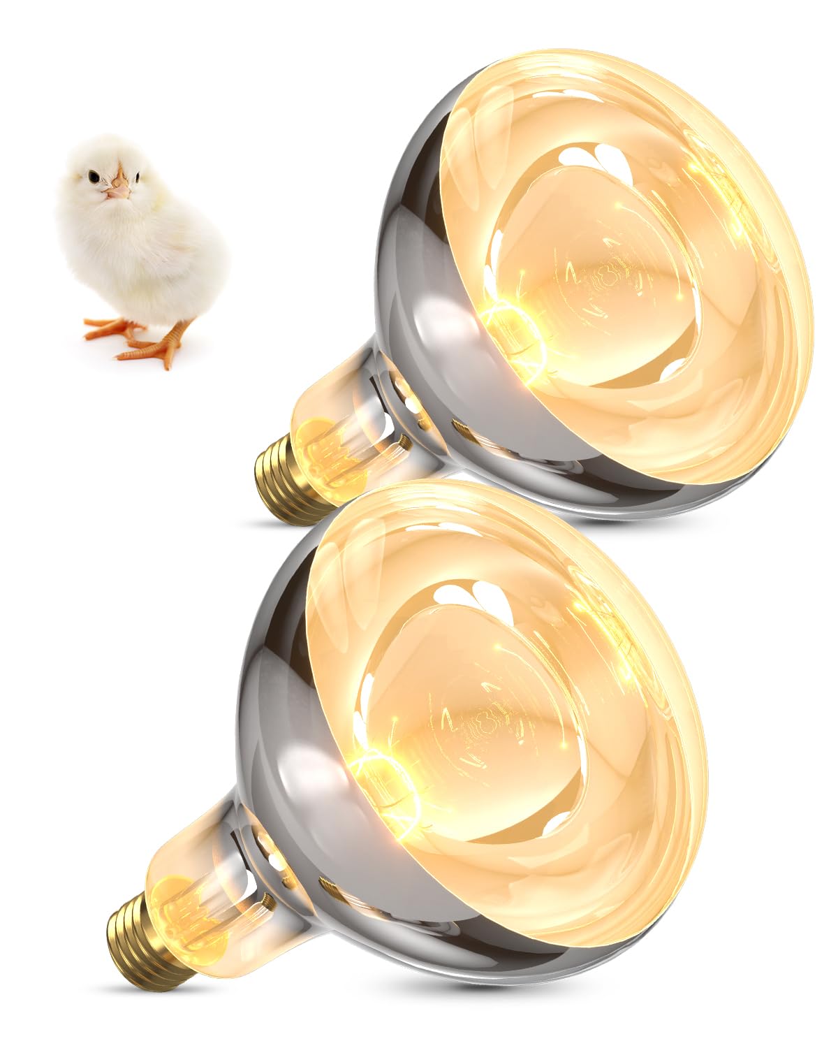 DoRight Heat Lamp 120V 250 Watt Heat Lamp Bulbs R40 Clear Infrared Heat ...