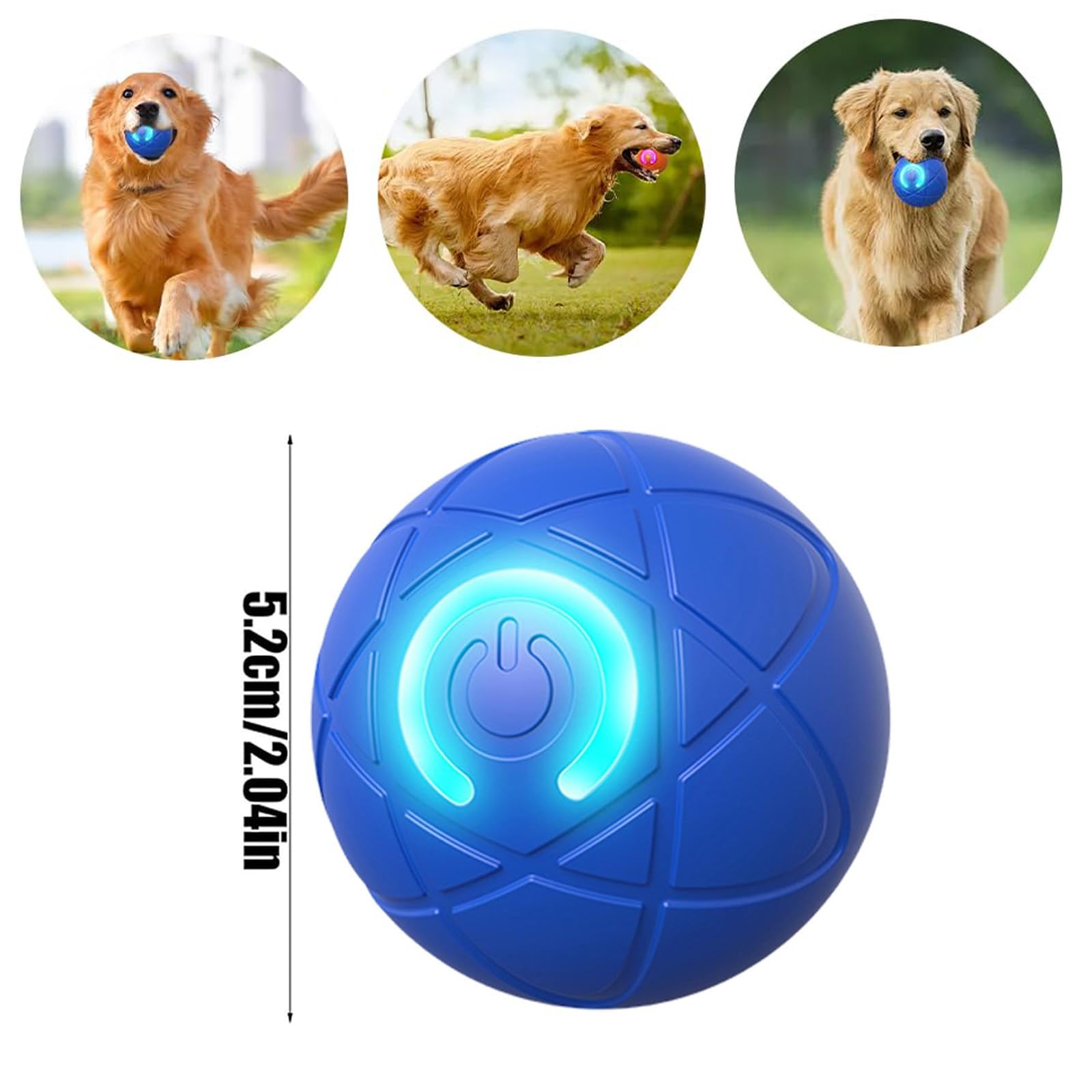 Moving Images Of Dogs