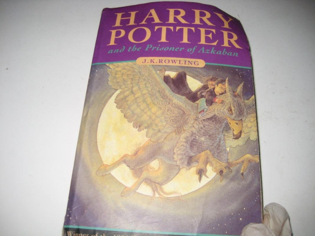 Amazon.com: Harry Potter and the Prisoner of Azkaban Literature Guide ...