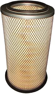Amazon.com: Replacement For Compatible With Air Filter Fits Case-IH ...