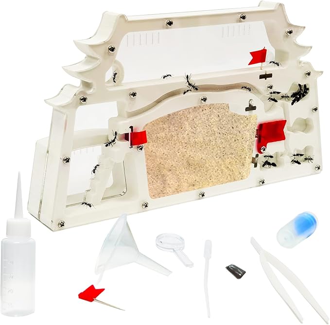 Amazon.com: Ant Farm Castle,Ant Colony Habitat Observation Tool Kits ...