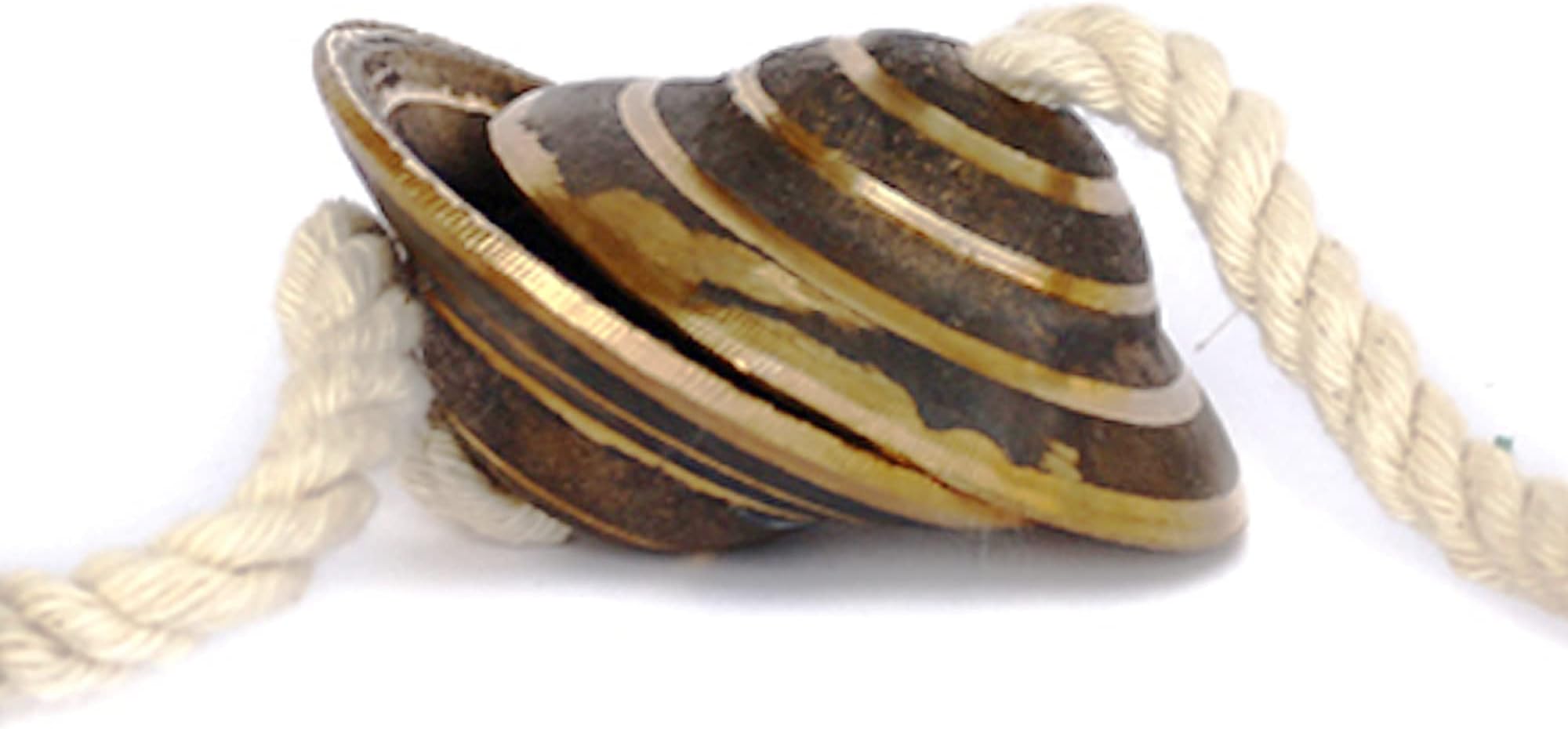 Amazon.com: De Kulture Handmade Pure Kansa Mini Manjeera Indian Small ...