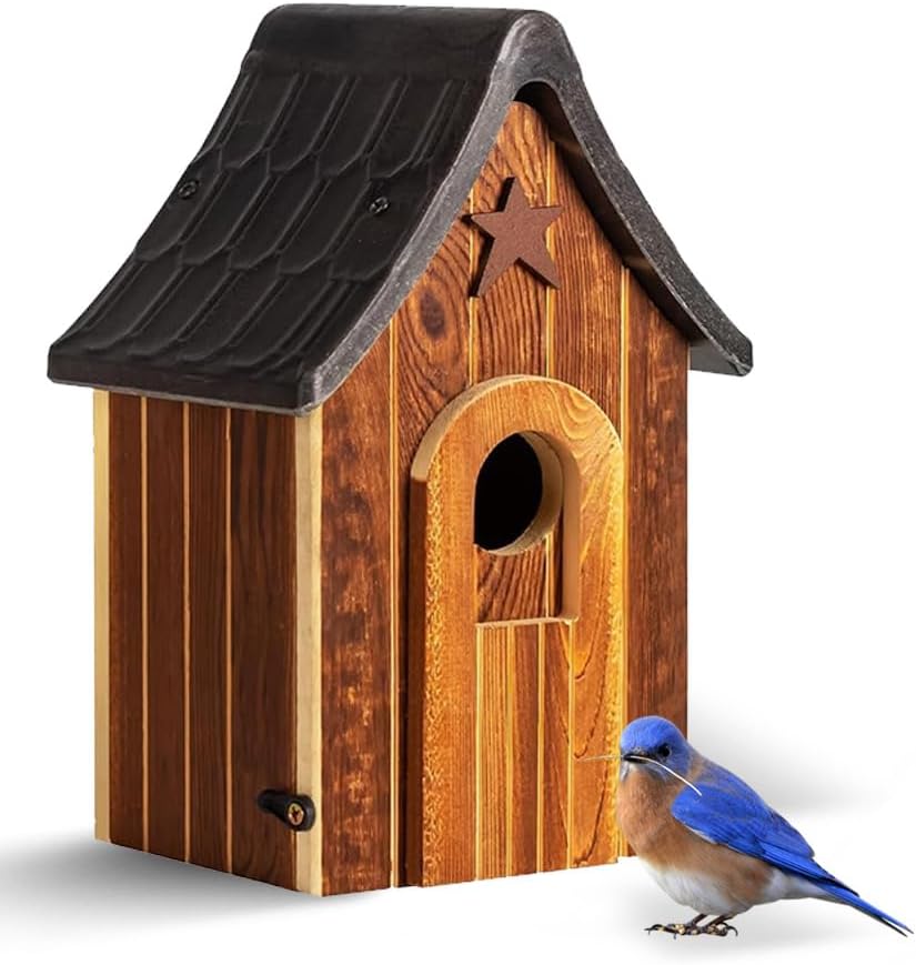 Amazon.com : Water Proof Bluebird Bird Houses for Outside, 1.5 ...