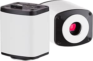 Amazon.com : AmScope HD1080A 1080p Full HD HDMI Microscope Camera ...