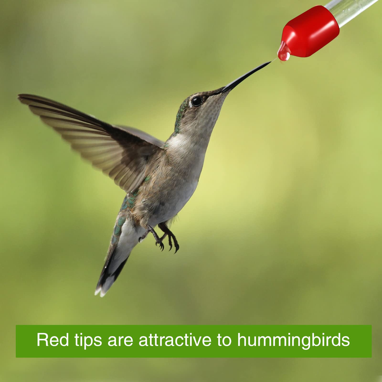 Romooa Hummingbird Feeder Tubes and Stoppers with BB Replacement Parts ...
