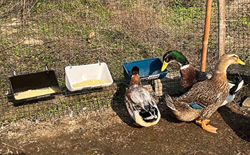 Snapklik.com : Goat Feeder, Hanging Duck Chicken Feeder, Fence Feed ...