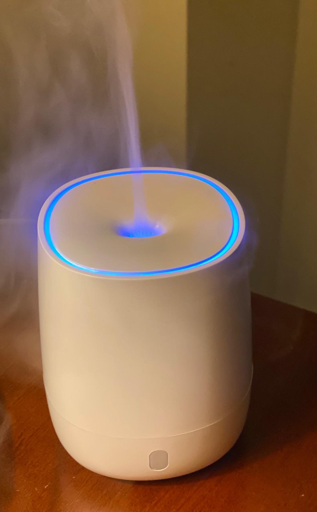 SOICARE Koala USB Diffuser, 160ml Cute Portable Travel Diffuser for ...