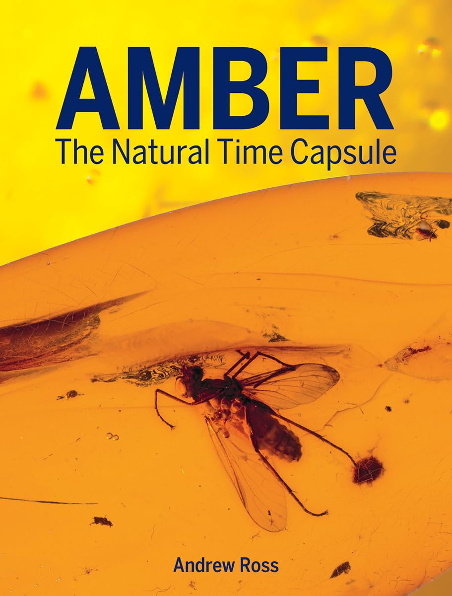 Amber: The Natural Time Capsule: Ross, Andrew: 9781770857599: Amazon ...